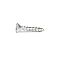 China Metric Stainless Steel ST4.8*30mm Flat Torx Head Self-Tapping Screws Sus316 Sharp Point Self Drilling Tapping Screw for sale