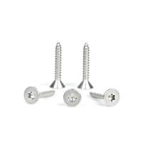 China Metric Stainless Steel ST4.8*30mm Flat Torx Head Self-Tapping Screws Sus316 Sharp Point Self Drilling Tapping Screw for sale