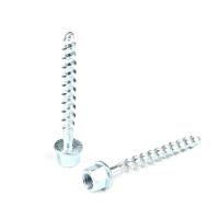 China Flange Hexagonal Thread Rod Cement Screw Anchor with Flat Head and T/T Payment Term for sale