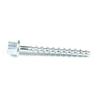 China Flange Hexagonal Thread Rod Cement Screw Anchor with Flat Head and T/T Payment Term for sale