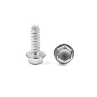 China Stainless Steel 304 Screws 14 *3/4