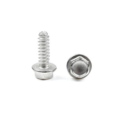 China Stainless Steel 304 Screws 14 *3/4