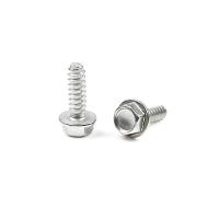 China Stainless Steel 304 Screws 14 *3/4