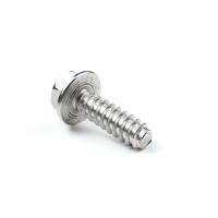China Stainless Steel 304 Screws 14 *3/4