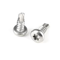 China Standard According to Customers Needs Stainless Steel Torx Pan Head Self Drilling Screws for sale