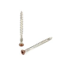 China 10x65mm Stainless Steel 316 Torx Flat Head Drywall Screws for Wood Construction Building for sale
