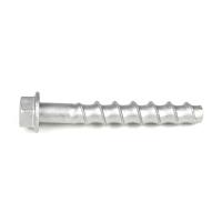 China ZINC Large Diameter Flange Hex Head Stainless Steel Concrete Screw Bolt Anchor For Tunnel Decorative Plate for sale