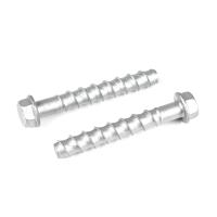 China 100% QC Tested M12 Concrete Anchor Bolt 100mm for Signal Communication System Support for sale