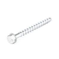 China ZINC Finish Stainless Steel Hex Concrete Anchor Screws for Municipal Engineering Guardrail for sale