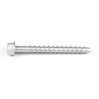 China ZINC Finish Stainless Steel Hex Concrete Anchor Screws for Municipal Engineering Guardrail for sale
