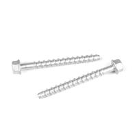 China ZINC Finish Stainless Steel Hex Concrete Anchor Screws for Municipal Engineering Guardrail for sale