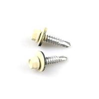 China Black A2 Hex Flange Self Drilling Screws With Color Epdm 5.5 x 25 Tek Screw For Roofing for sale