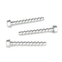 China Flange Hex Head Concrete Anchors M10x90mm Stainless Steel for Metric Measurement System for sale
