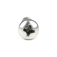China Good Source of Materials Phillips Drive M4.6x19mm Stainless Steel Self Tapping Screws for sale