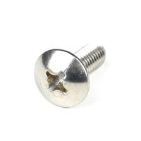 China Long M6 X 16 Phillips Truss Head Machine Screws For Kitchen Hood With Ruspert Finish for sale
