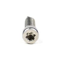 China Steel Structure Self Drilling Tapping Screw M6x25mm Torx Fillister with Installation for sale