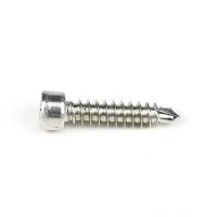 China Steel Structure Self Drilling Tapping Screw M6x25mm Torx Fillister with Installation for sale