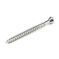 China Carefully Crafted Stainless Steel304 60mm Torx Deck Screw for Wooden Ceiling Partition for sale