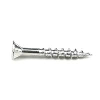 China Pan Head Phillips Wood Screws Self Tapping Tornillos with in 316 Stainless Steel for sale