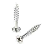 China Pan Head Phillips Wood Screws Self Tapping Tornillos with in 316 Stainless Steel for sale