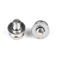 China Stainless Steel 304 Screws Pan Phillips M5x16 Machine Screw For Door for sale