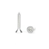 China Plain Finish Torx Flat Countersunk Self-Tapping Screws 316 Stainless Steel for Wood for sale