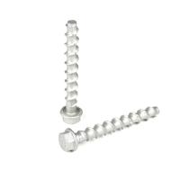 China Anti Collision Support Mold Flange Hex Stainless Steel M8 Concrete Screw Anchor Bolts for sale