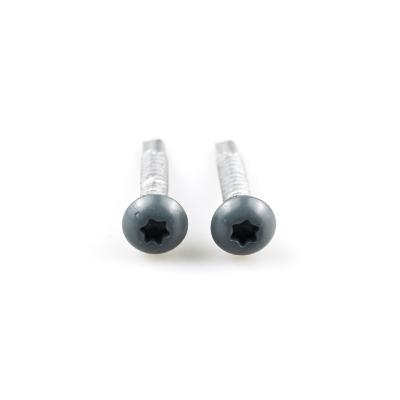 China Color Painted Torx Pan Head Stainless Steel 304 Bimetal Self Drilling Screw With Epdm Washer for sale