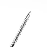 China SS316 Type 17 Ribs Square Head Csk Screws For Wood Construction Building Head Style Trim for sale