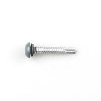 China Truss Head Self Drilling Screws With Black Epdm Washer And Stainless Steel Torx Drive for sale
