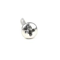 China Pan Head Phillips Wood Screws in 304 Stainless Steel for Wood Guardrail Construction for sale