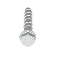 China Guaranteed 3/4''x 5'' Stainless Steel Hex Head Concrete Bolt Self Drilling Anchor for sale