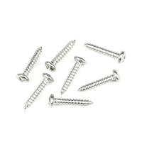China Pan Head Phillips Wood Screws in 304 Stainless Steel for Wood Guardrail Construction for sale
