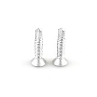 China Sus410 Sus316 Cabri Screw Terrace Bi Metal A4 Ruspert Flat Head Self Drilling Screw St4.8 for sale