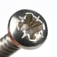 China Customized Support Stainless Steel 304 A2 Pozi Drive Self Tapping Screw Cross Recessed for sale