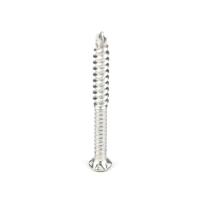China Steel Structure Self-Drilling Screws with Metric Measurements and Oval Head Torx for sale