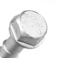 China 5/8x6'' Stainless Steel Hex Self Tapping Concrete Screw Anchor Bolts for Guardrail Fixing for sale