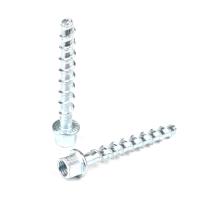 China HEX Flange ZINC Plated Carbon Steel Concrete Masonry Screw Anchors for Ceiling System for sale