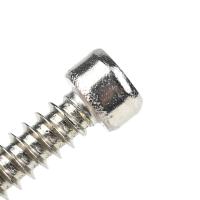 China 304 Stainless Steel Round Fillister Head Screw M6 Torx Screw with Customized Support for sale