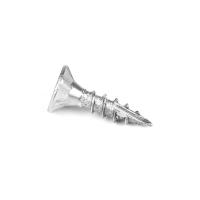 China Plain Finish Stainless Steel Flat Head Pozi Decking Screws for Customized Requirements for sale