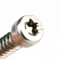 China 304 Stainless Steel Round Fillister Head Screw M6 Torx Screw with Customized Support for sale