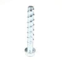 China Customizable Hex Head Self Drilling Concrete Screws for Heavy Duty Concrete Fixing for sale