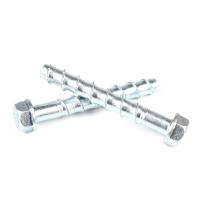 China Customizable Hex Head Self Drilling Concrete Screws for Heavy Duty Concrete Fixing for sale