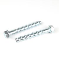 China Customizable Hex Head Self Drilling Concrete Screws for Heavy Duty Concrete Fixing for sale