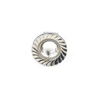 China Customizable and Durable DIN6923 Stainless Steel Serrated Hex Flange Self Locking Nut for sale
