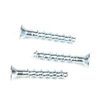 China Installation Carbon Steel Masonry Screw White Zinc Plated Hex Socket Flat Head Concrete Anchor Bolts Screws for sale
