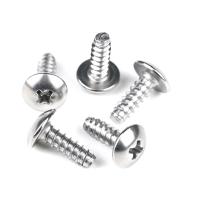 China Metal Sheet Self Tapping Screw 12mm with Phillips Drive and Round Head for sale