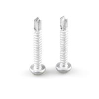 China Metope Fastening ST5.5 Ruspert Pan Head Self-Drilling Screw for Wood Metal Steel Panel for sale