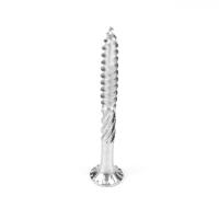 China 75mm Combination Driver Stainless Steel 316 Bugle Torx Wood Screws for Wooden Construction for sale