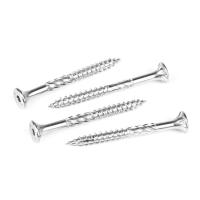 China 75mm Combination Driver Stainless Steel 316 Bugle Torx Wood Screws for Wooden Construction for sale